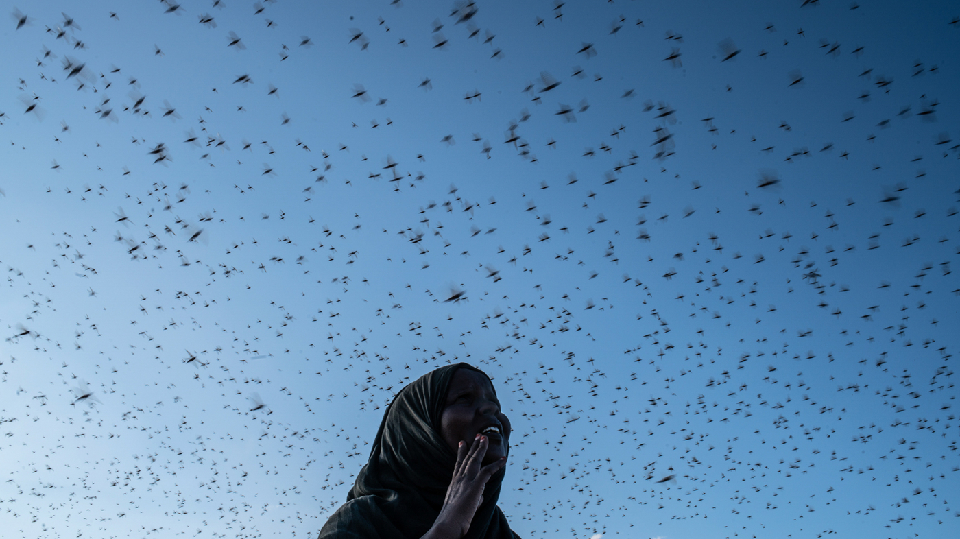 Meet 5 women documenting climate change around the world : The Picture ...