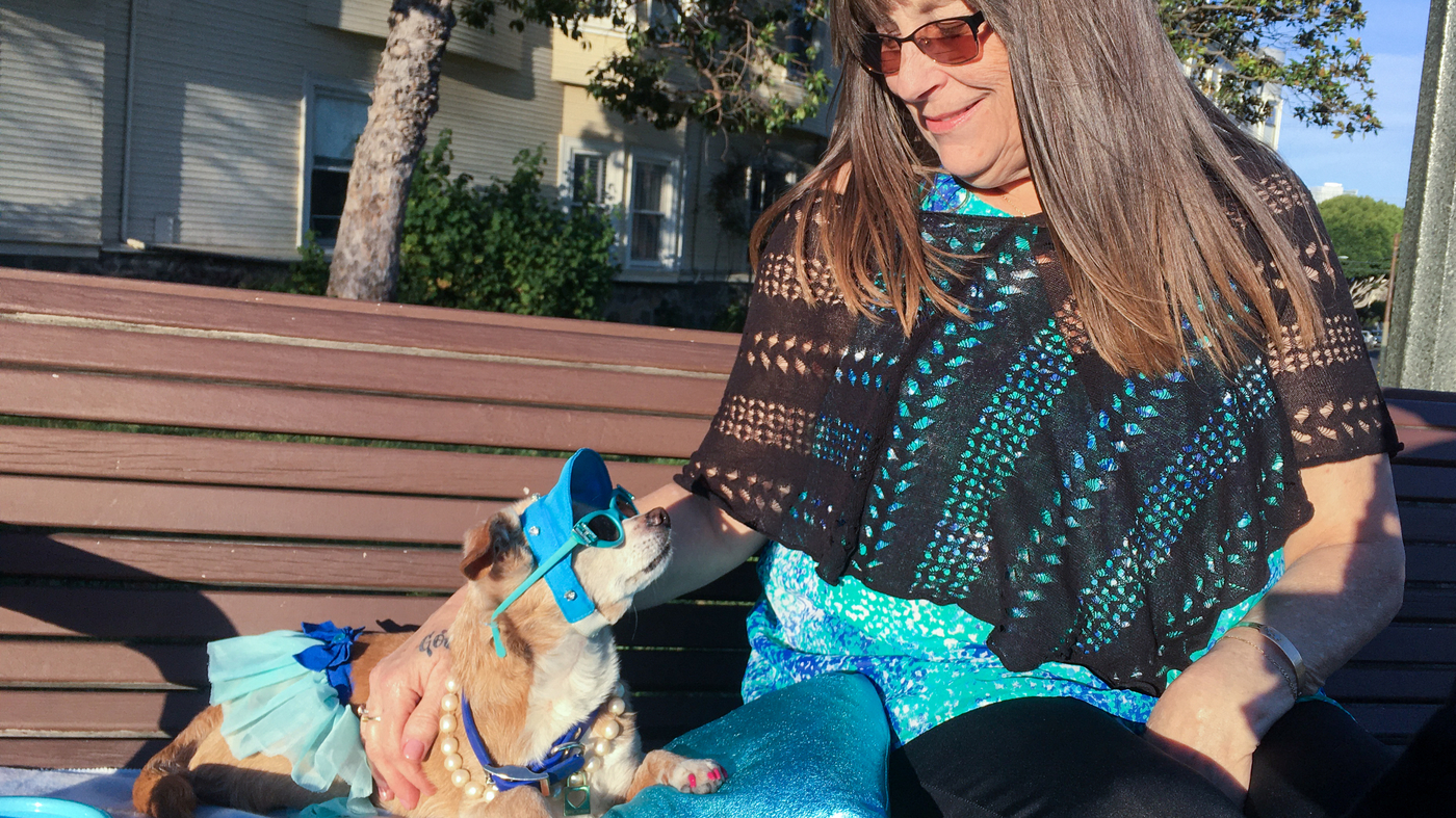 Veterinarians suffer from burnout as pandemic pet craze loads them with ...