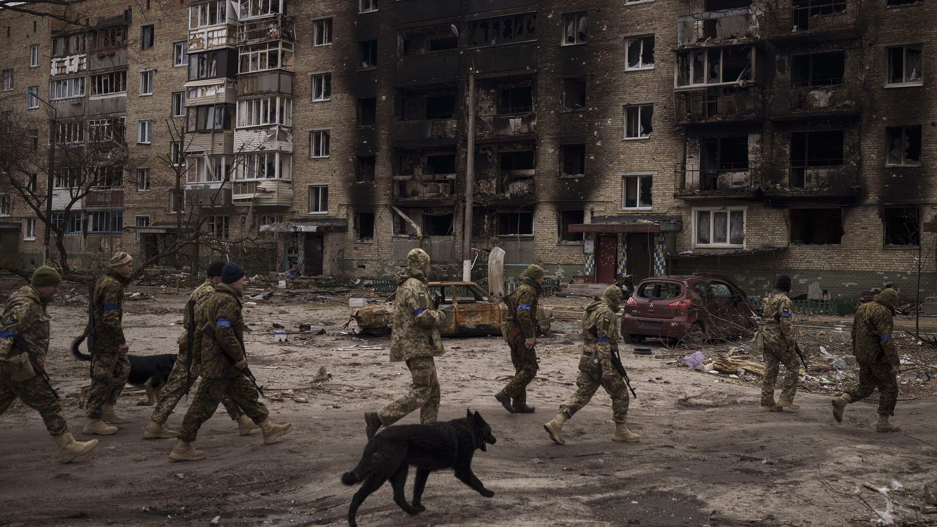 Photo of Week 6 of Russia's invasion of Ukraine : The Picture Show : NPR