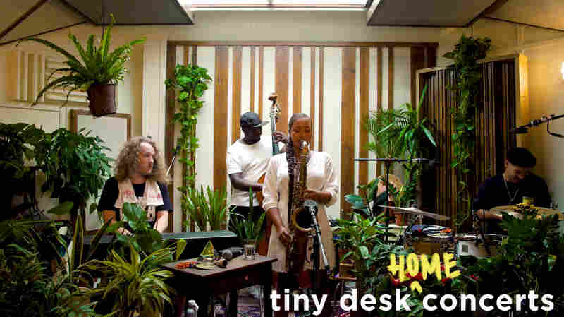 The Best Tiny Desk Concerts : NPR
