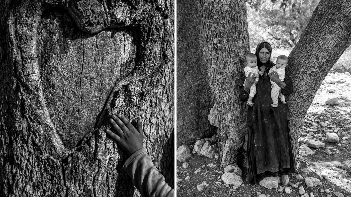 PHOTOS: These Iranian nomadic women persevere despite hardships : Goats ...