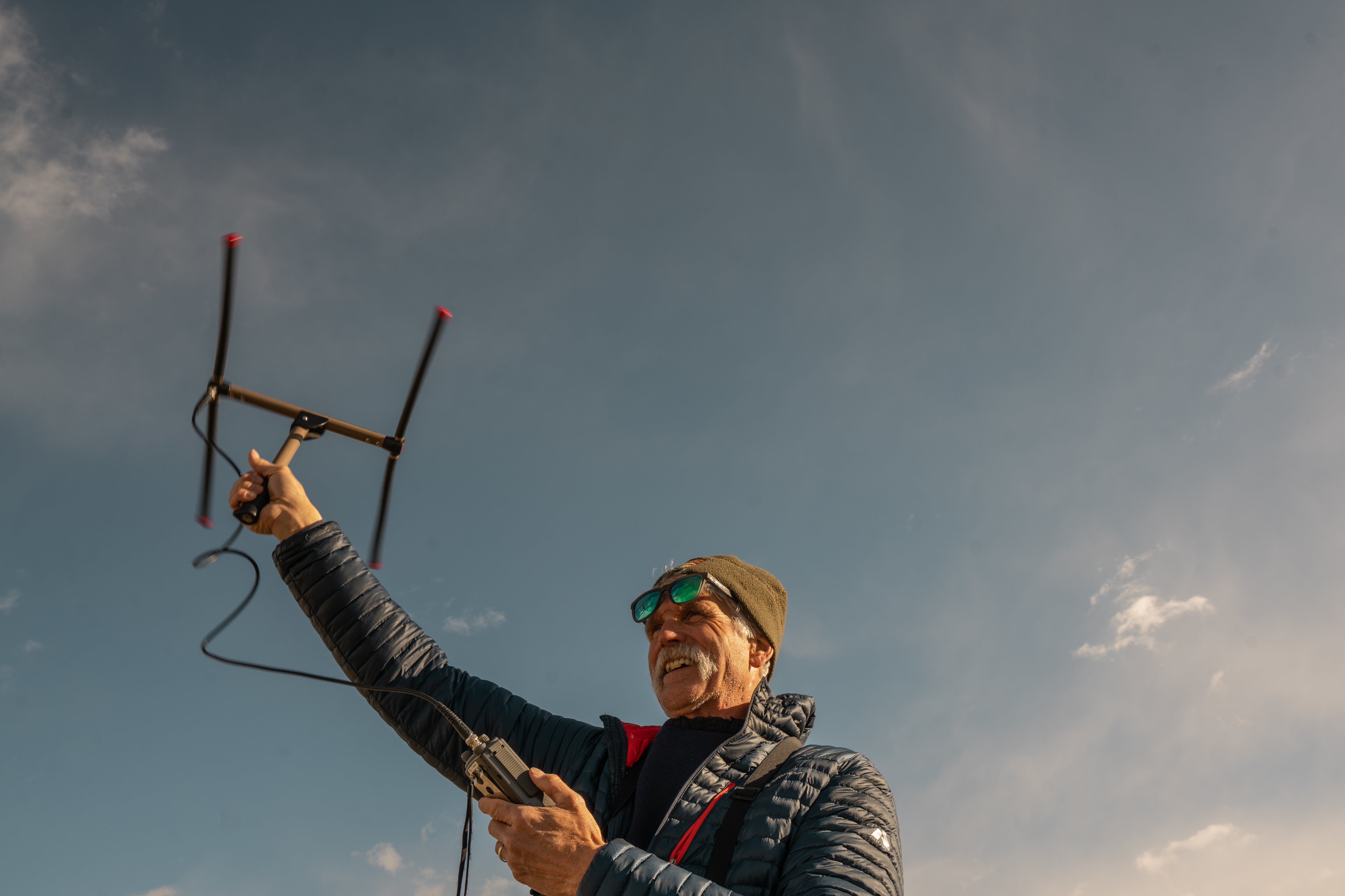 A record number of Yellowstone wolves have been killed ...