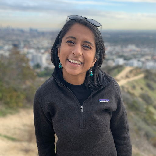 Washington Desk staffing news for Arnie Seipel and Deepa Shivaram : NPR ...