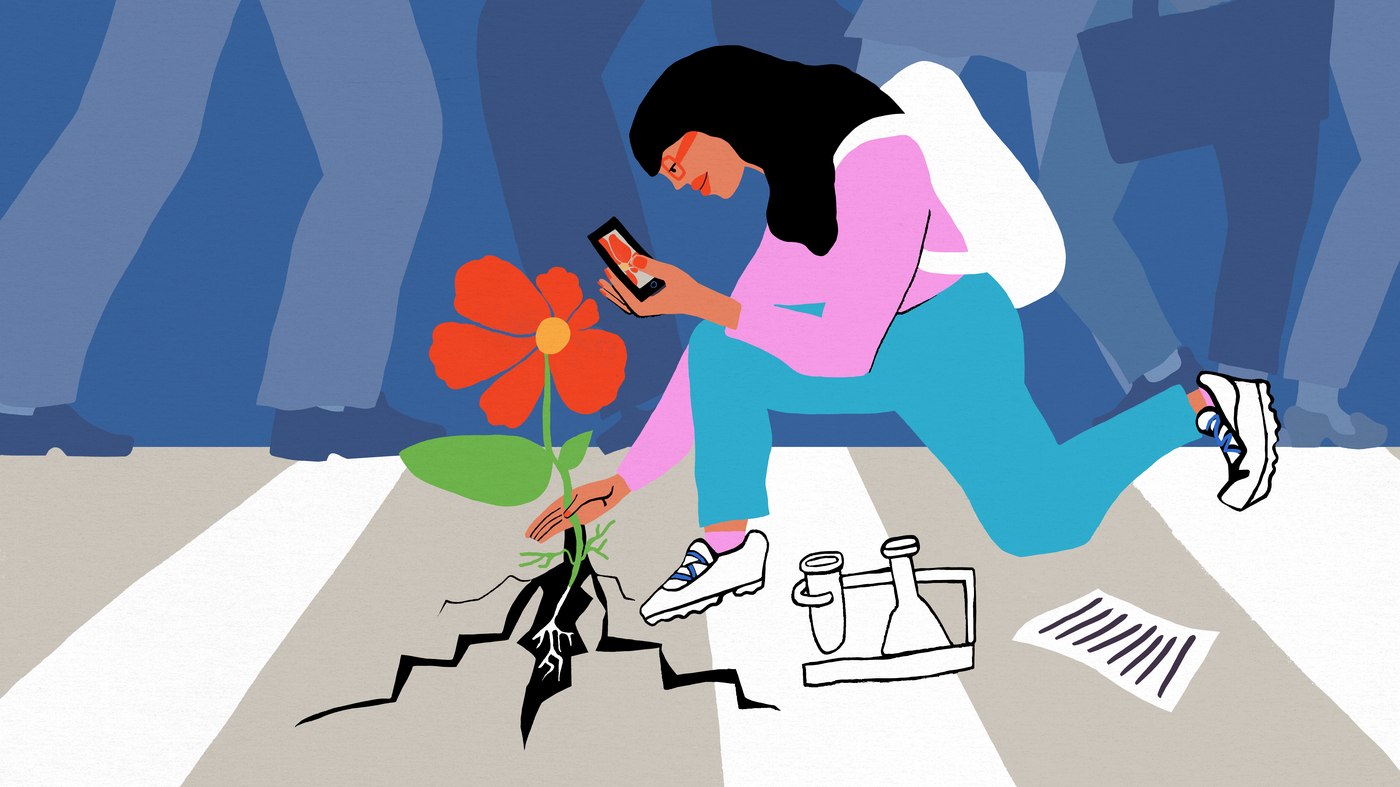 Become a community scientist in 3 steps and help research : Life Kit : NPR