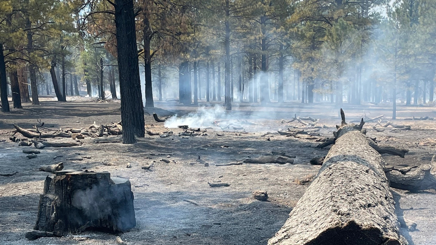 Fires hit Southwest, New Mexico's season 'dangerously early' : NPR