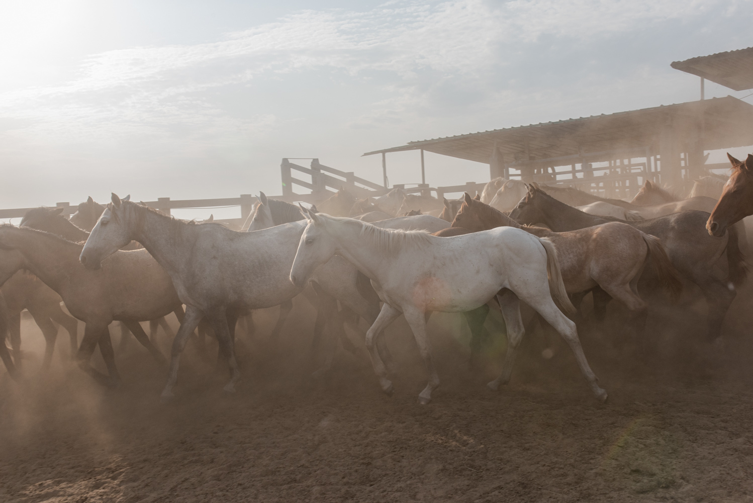 South America's traditional cowboys are still at home on the range in ...