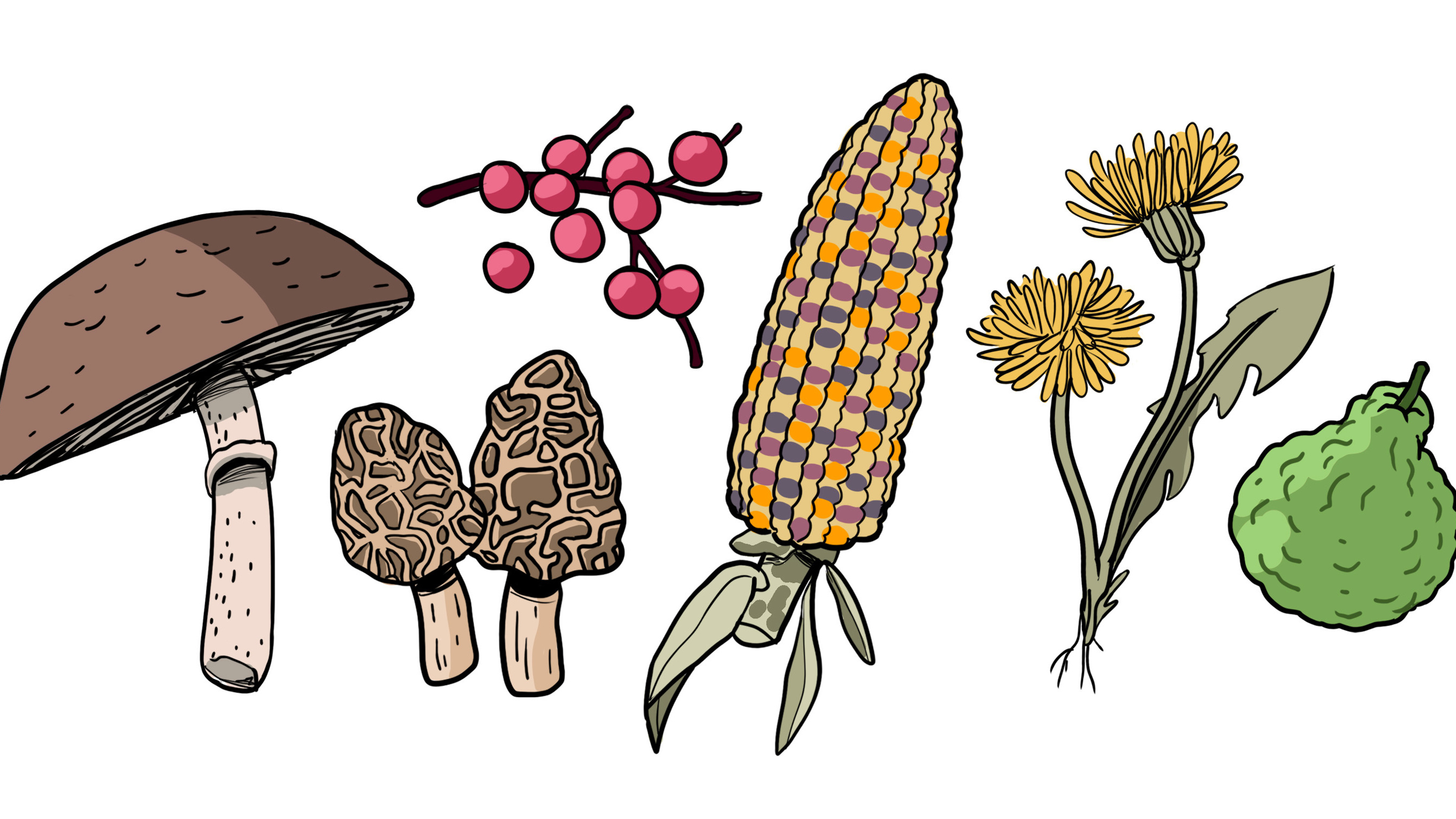 COMIC: One Sioux chef's attempt to reclaim Native American cuisine | NPR