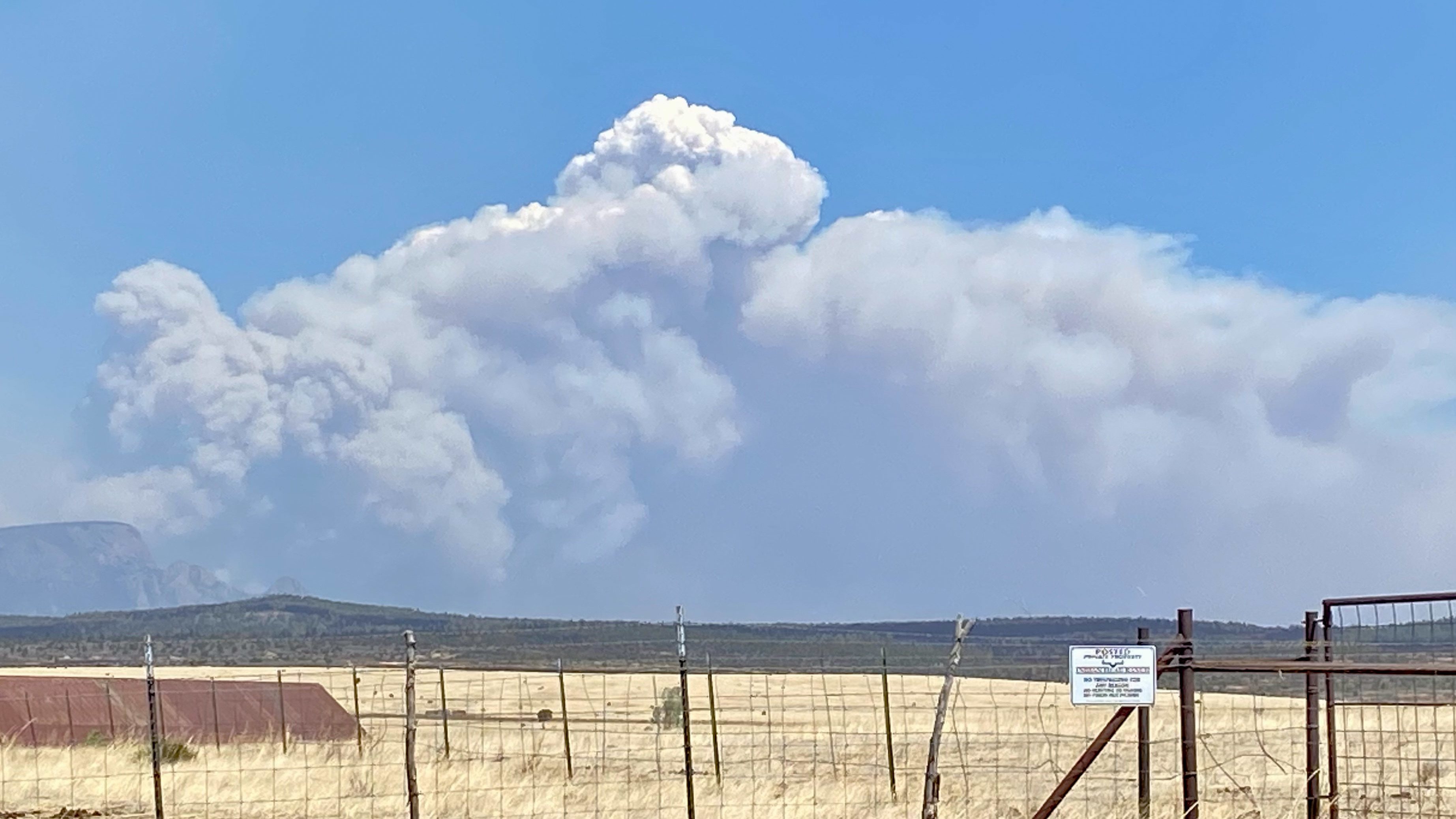 New Mexico wildfire is now the state's largest in modern history : NPR