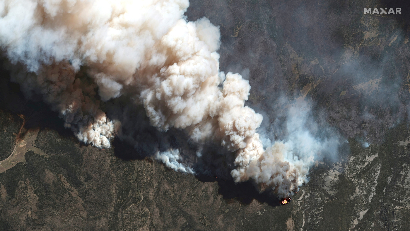 Wildfires like New Mexico's intentional fire are vital for forest ...