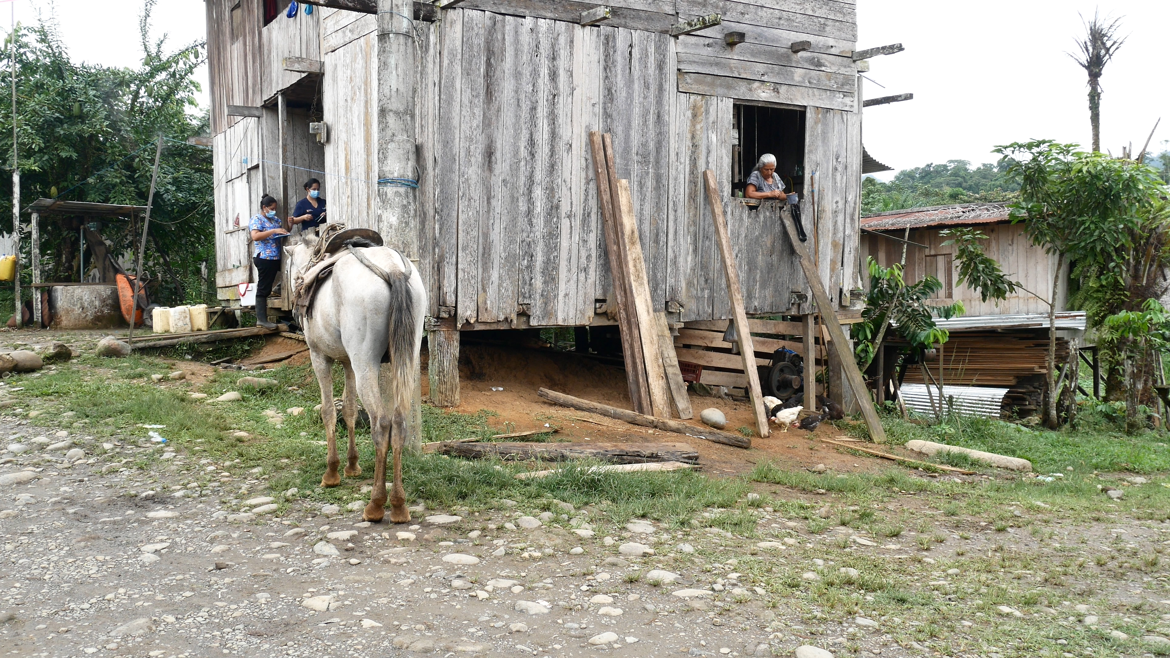 Young doctors take on the huge health-care problems of rural Ecuador ...