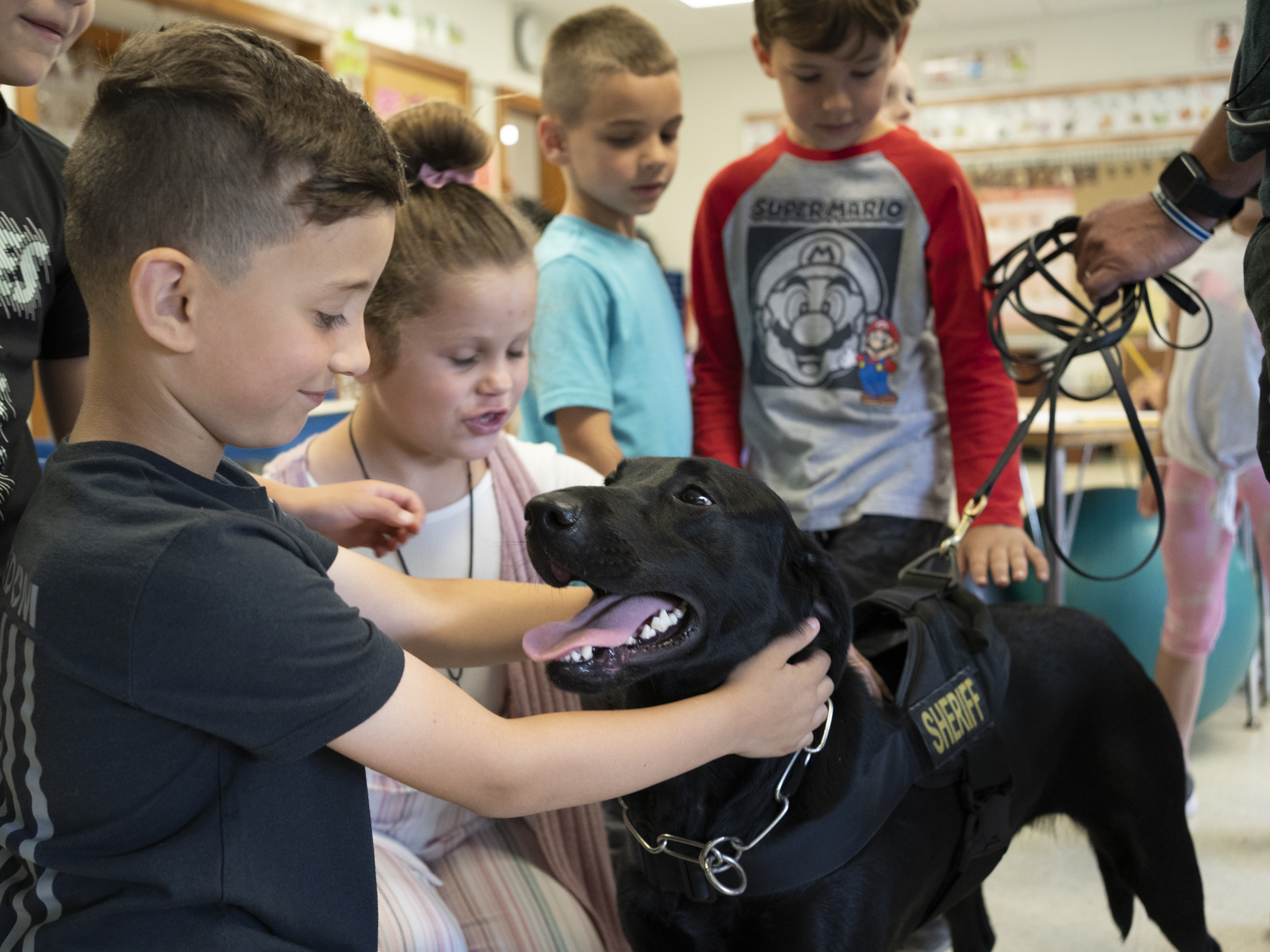 Dogs trained to sniff out COVID in schools are getting a lot of love ...