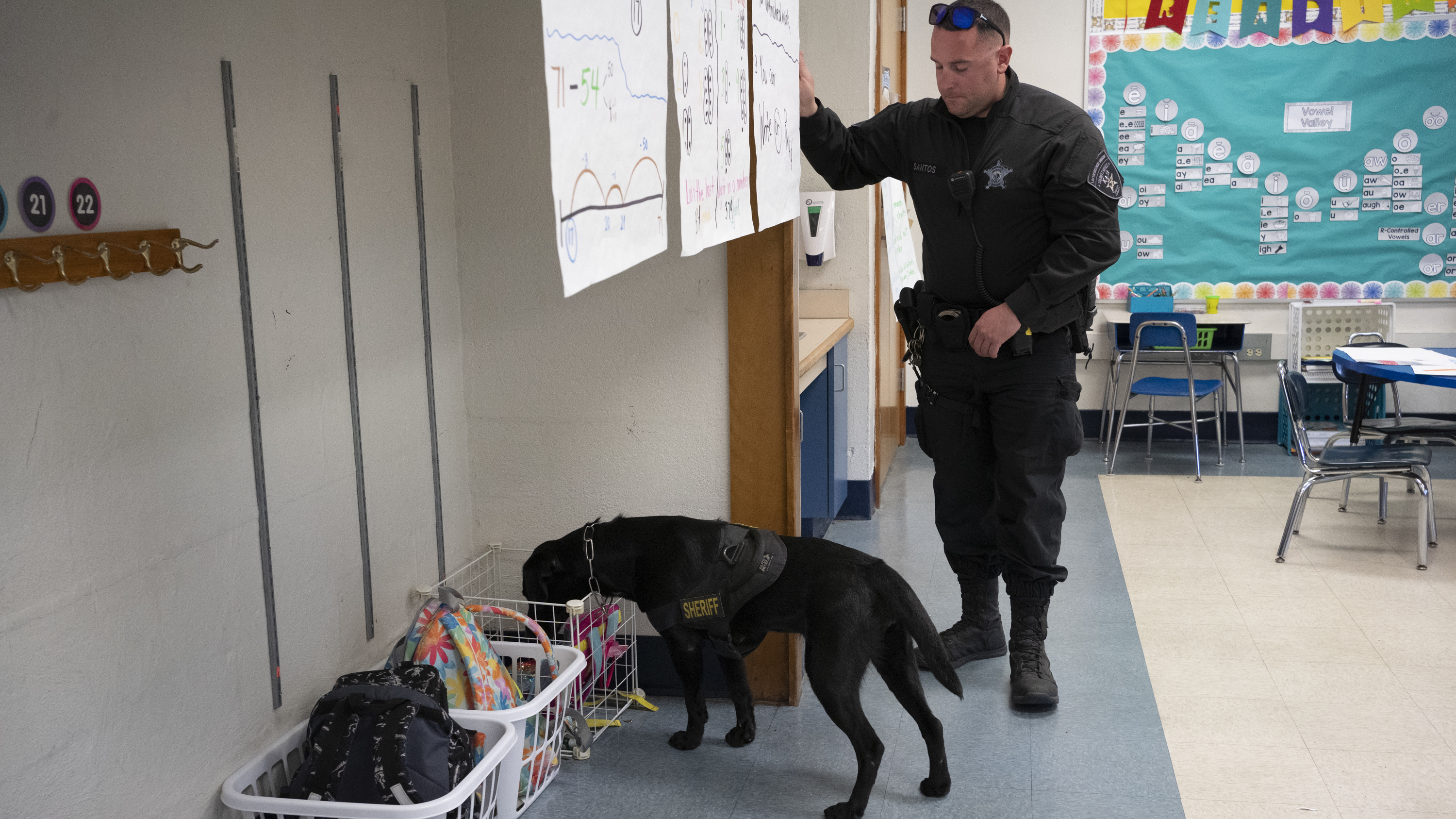 COVID-detection dogs offer a new way to guard against the pandemic ...
