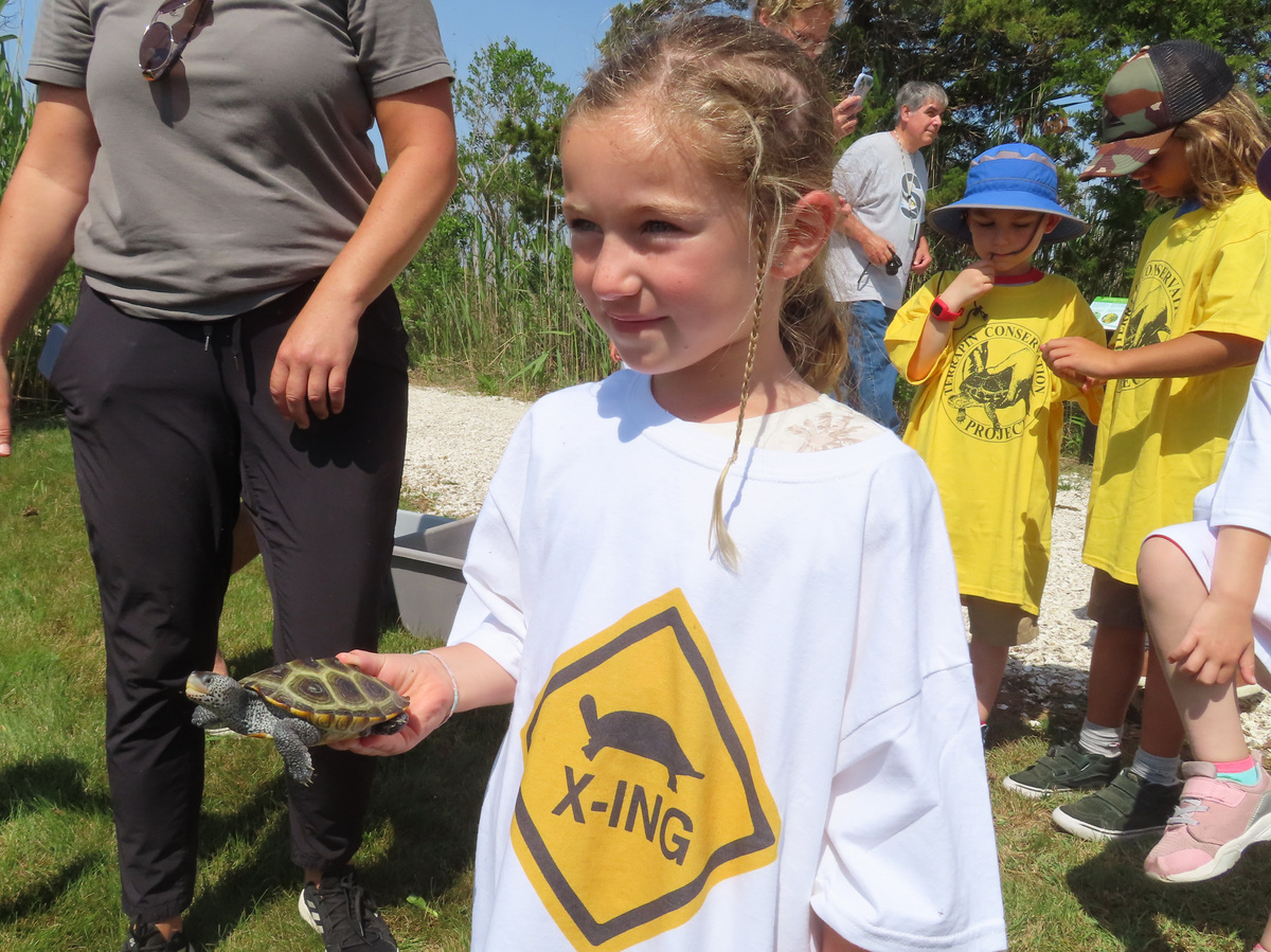 This kindergarten class has raised and set free 18 orphaned turtles : NPR