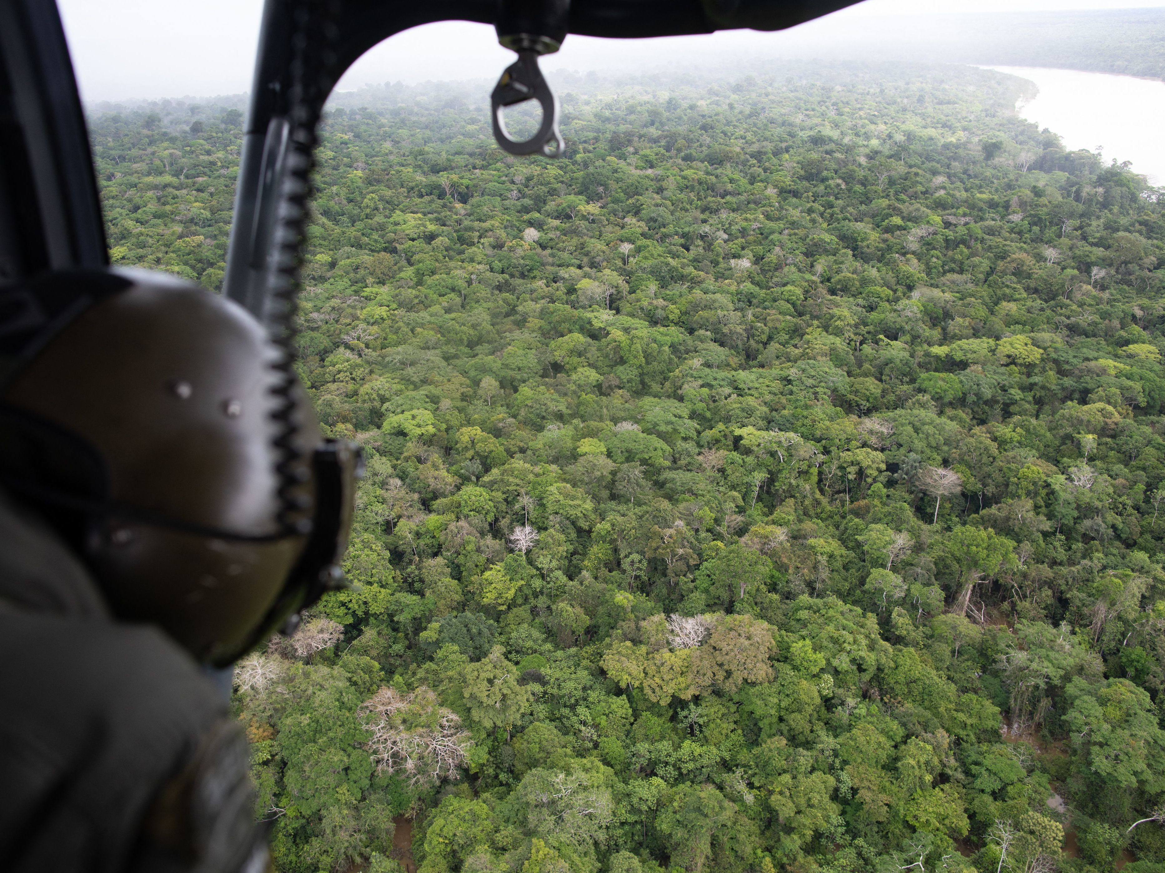Opinion: A violent tragedy foretold in the Amazon | NCPR News
