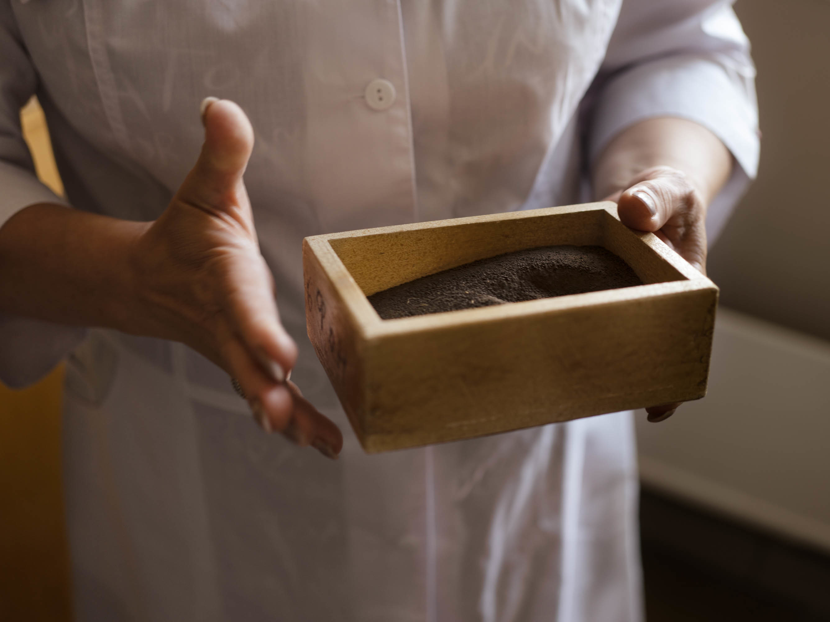 Shredded trees, dead dolphins and wildfires — how Russia's invasion is ...