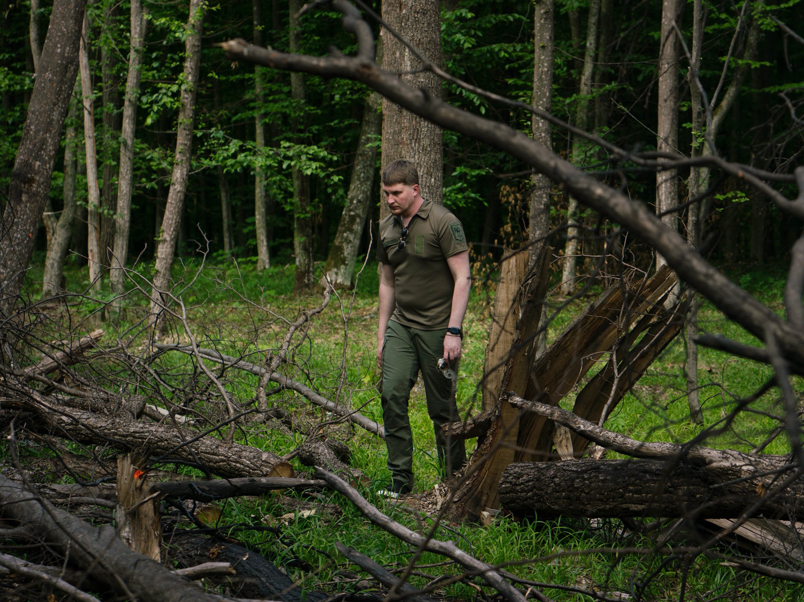 Shredded trees, dead dolphins and wildfires — how Russia's invasion is ...