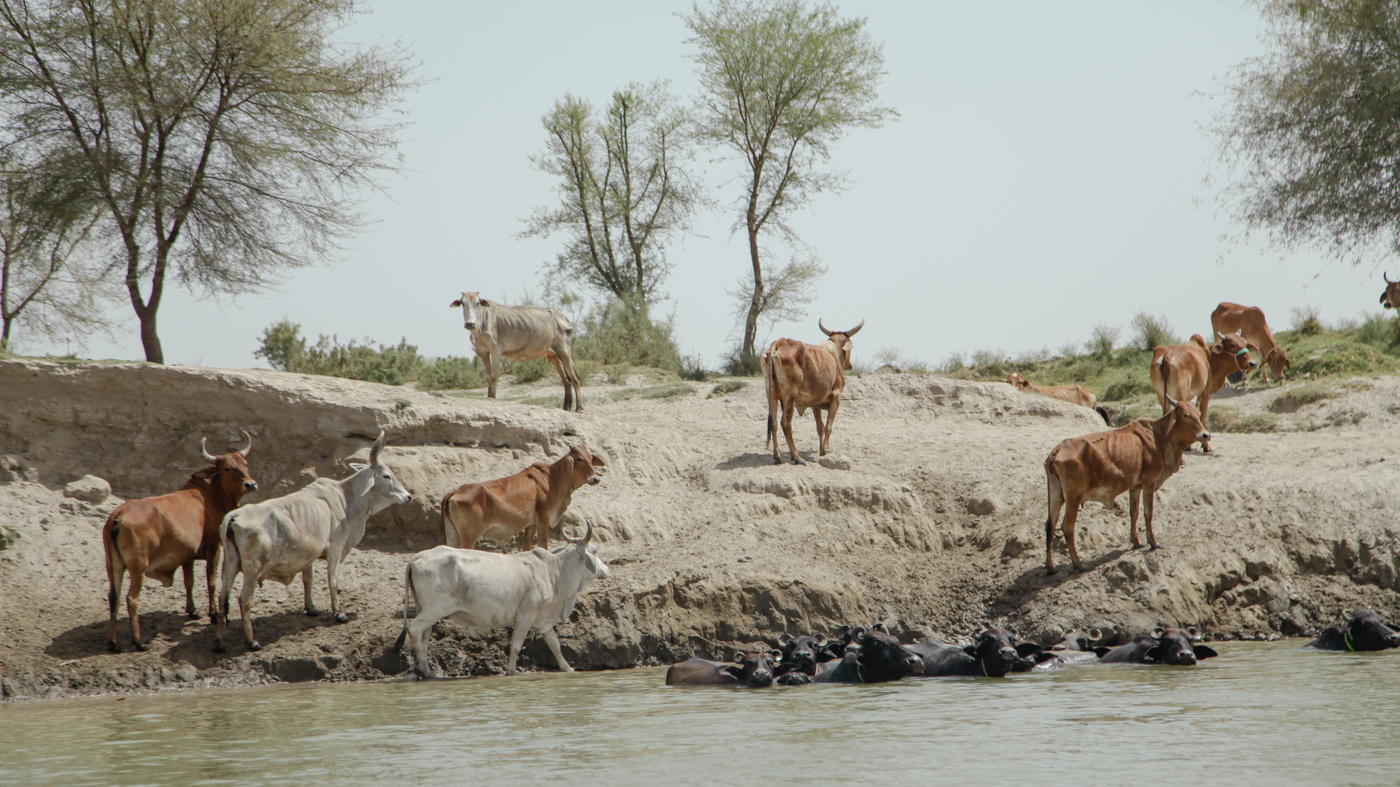 Floating in a rubber dinghy, a filmmaker documents the Indus River's ...