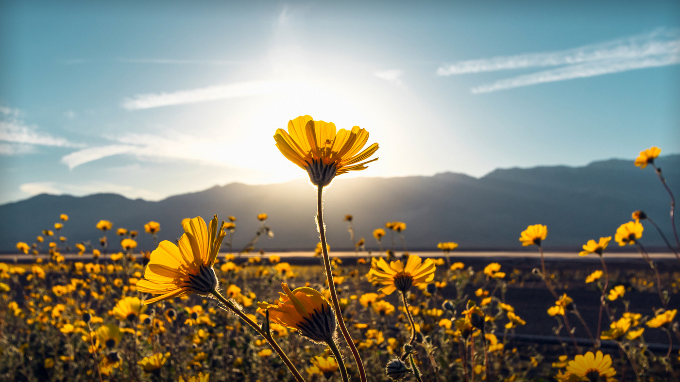 Listen Again: Revitalize (2021) : TED Radio Hour : NPR