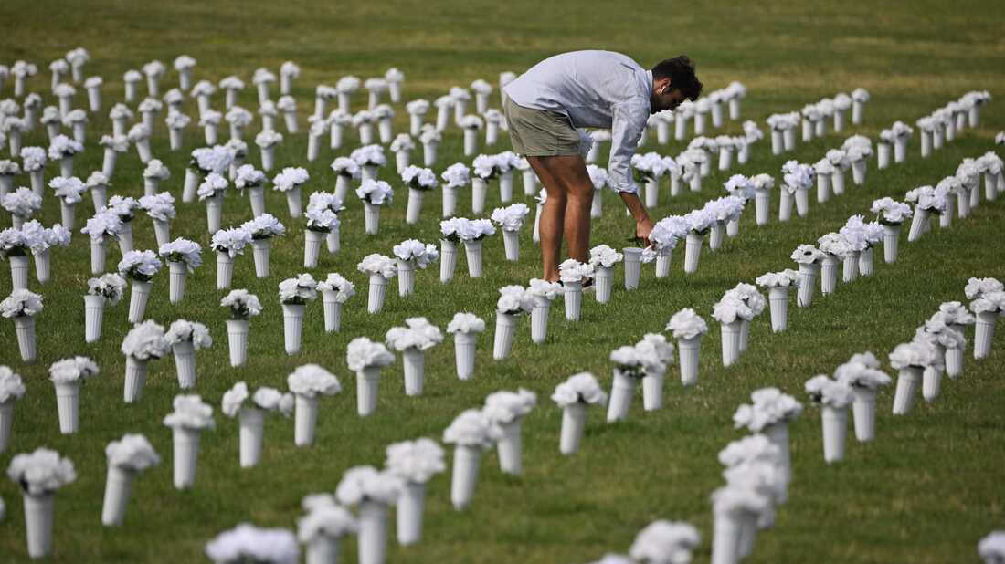 Most Americans Killed By Guns Don't Die In Mass Shootings : Consider ...