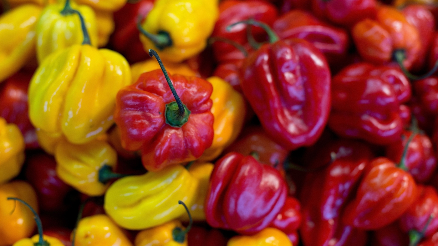 Spicy Foods, Tolerance, and Pain : Short Wave : NPR