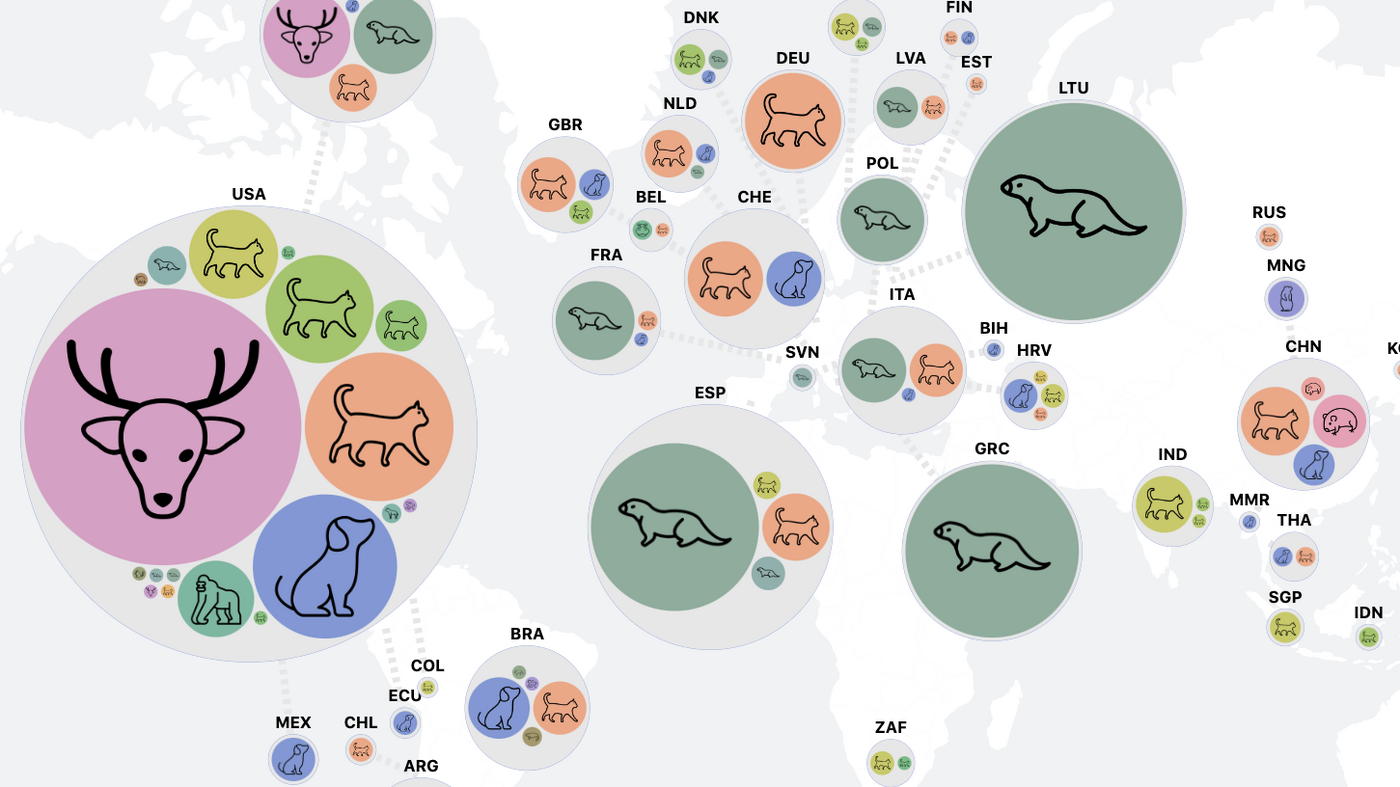 First global tracker of animals who caught COVID has gaps — but is ...