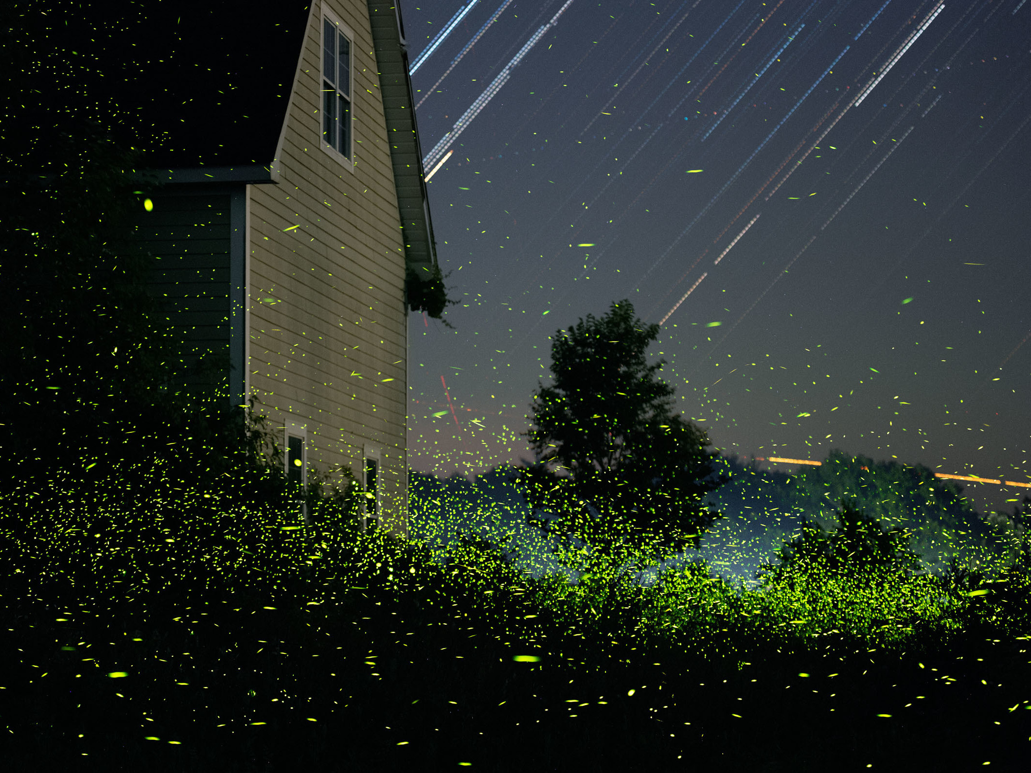 These photos are shedding new light on how fireflies interact with the ...