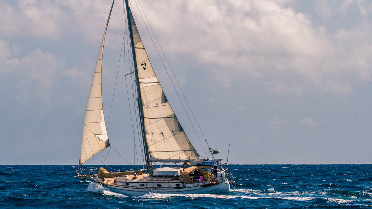 Sailing the boat store