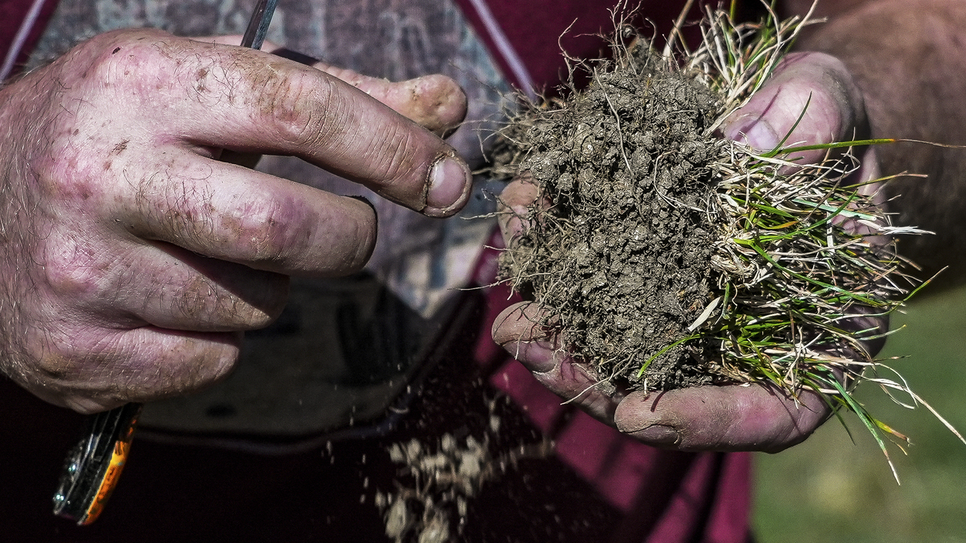 The drought across Europe is drying up rivers, killing fish and ...