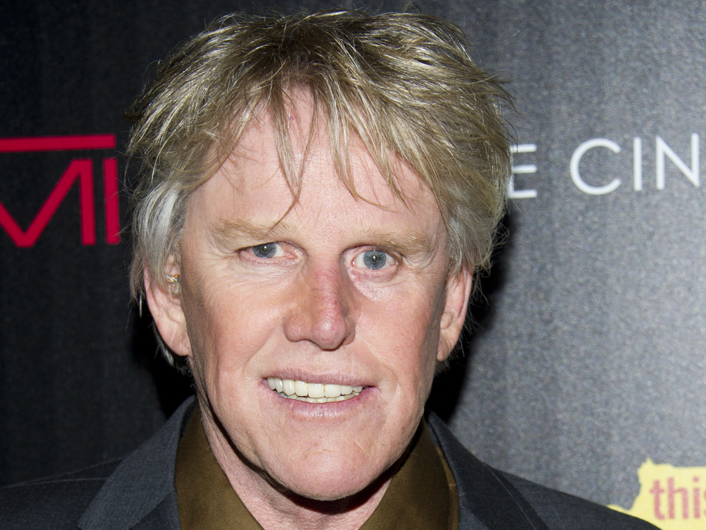 Gary Busey has been charged with sexual offenses at a fan convention ...