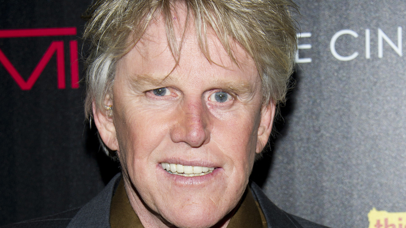 Gary Busey has been charged with sexual offenses at a fan convention : NPR