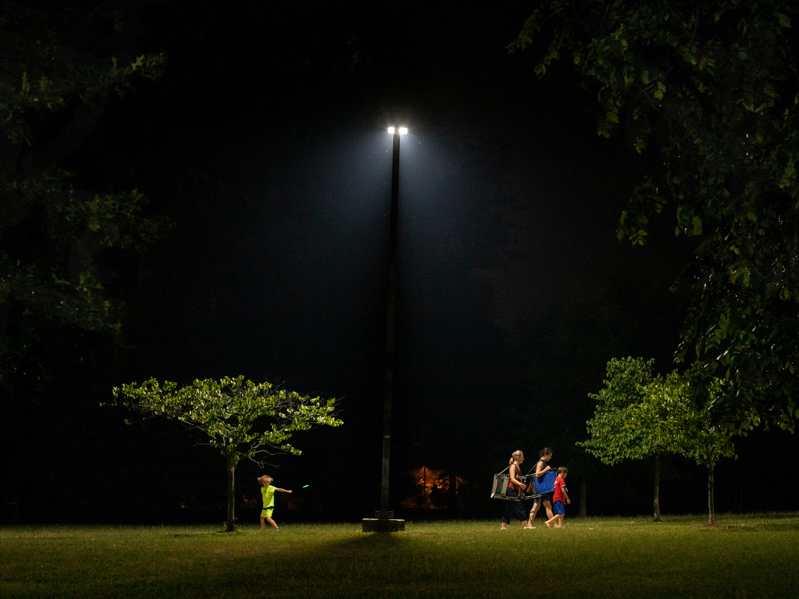 Your local park has a hidden talent: helping fight climate change ...