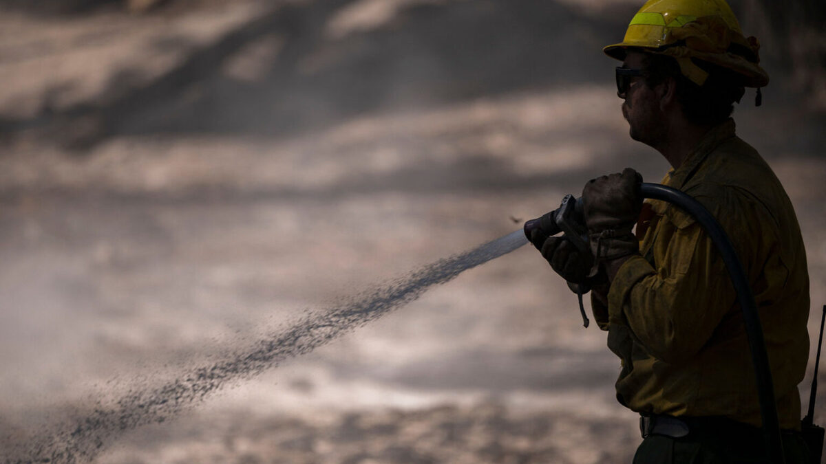 Why Is Extreme Heat So Deadly? : 1A : NPR