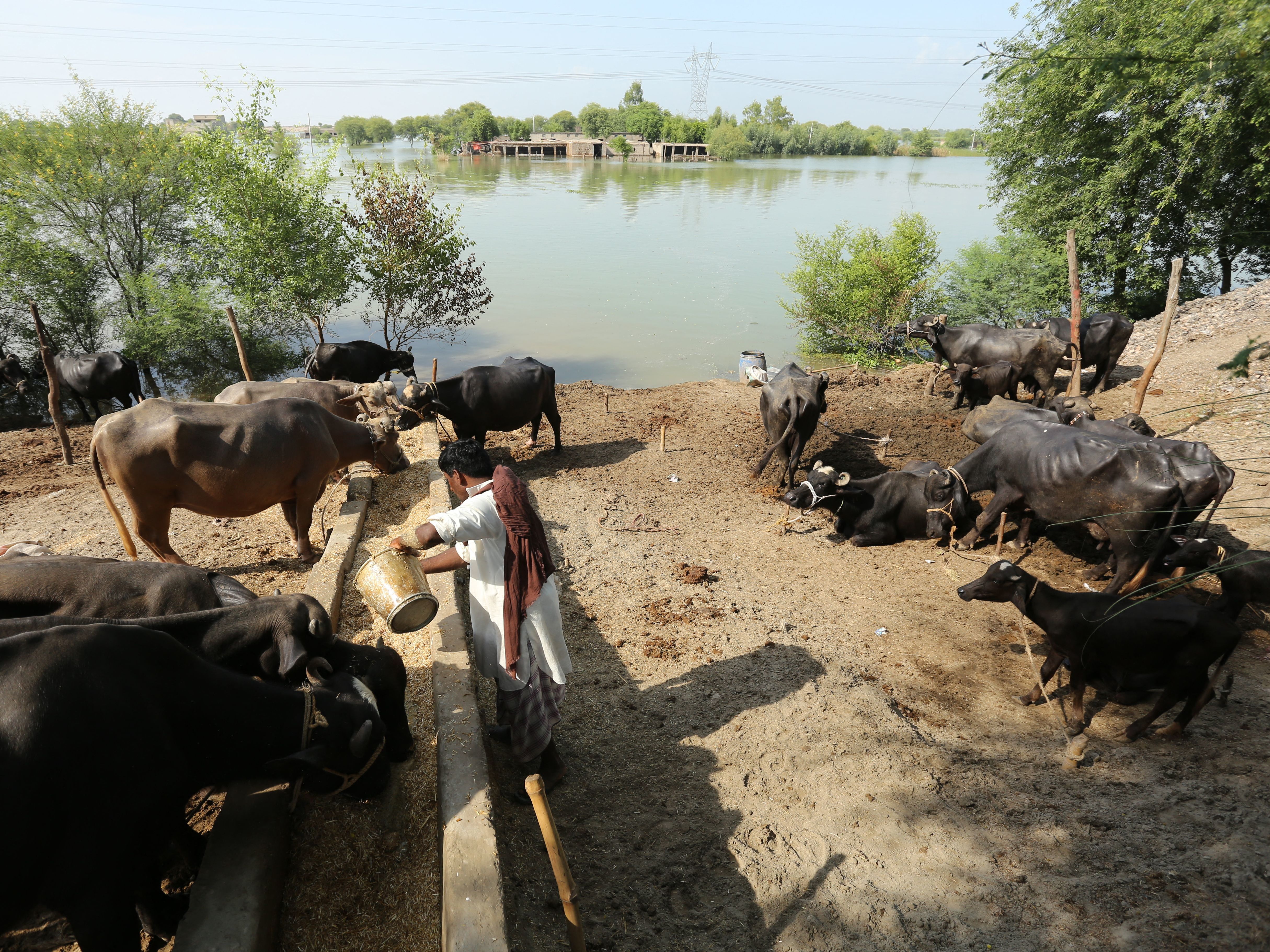 PHOTOS: A third of Pakistan is under water in catastrophic floods ...