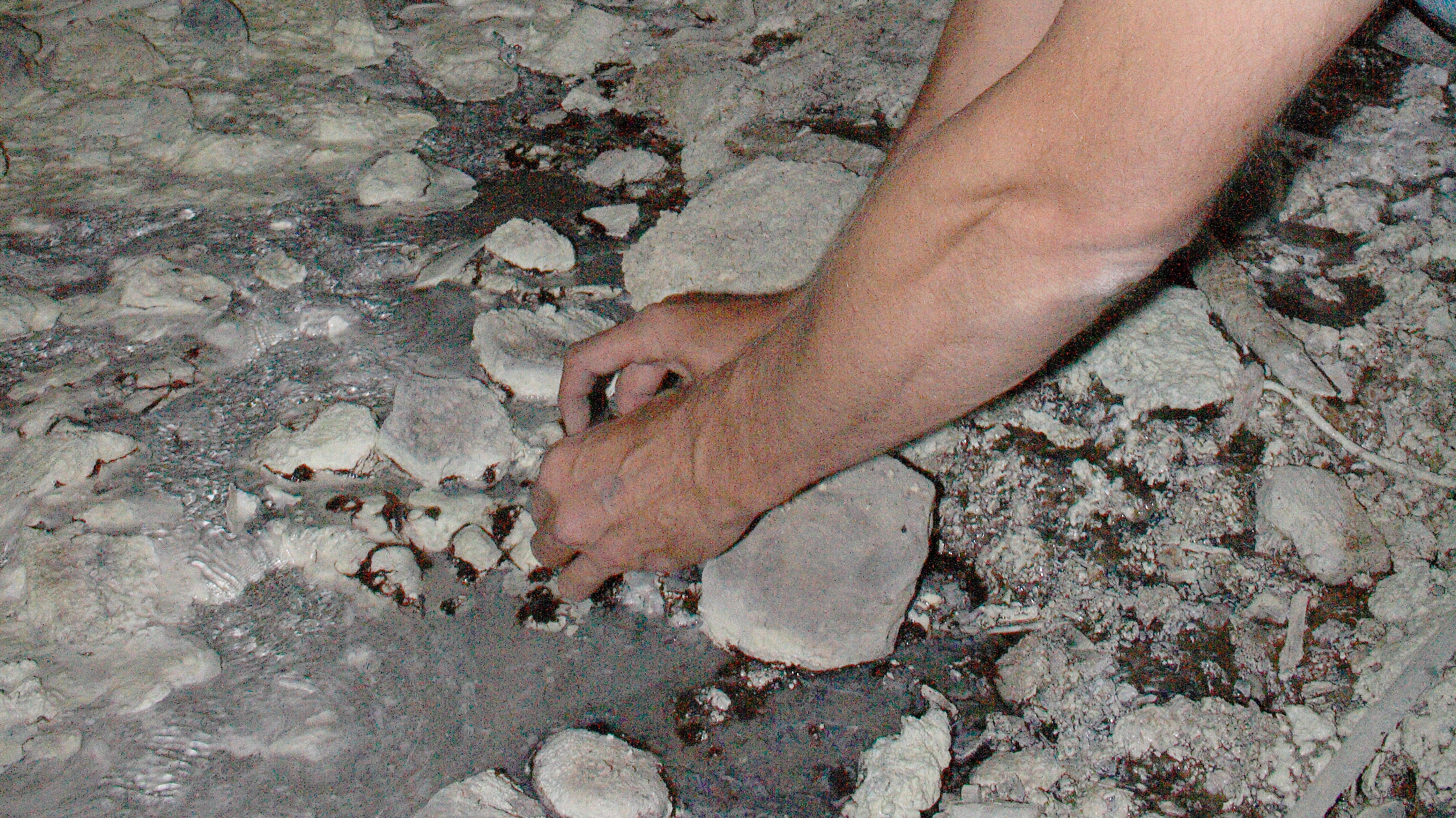 Sulphur Cave in Colorado Home To Blood-Red Worm Blobs : Short Wave : NPR