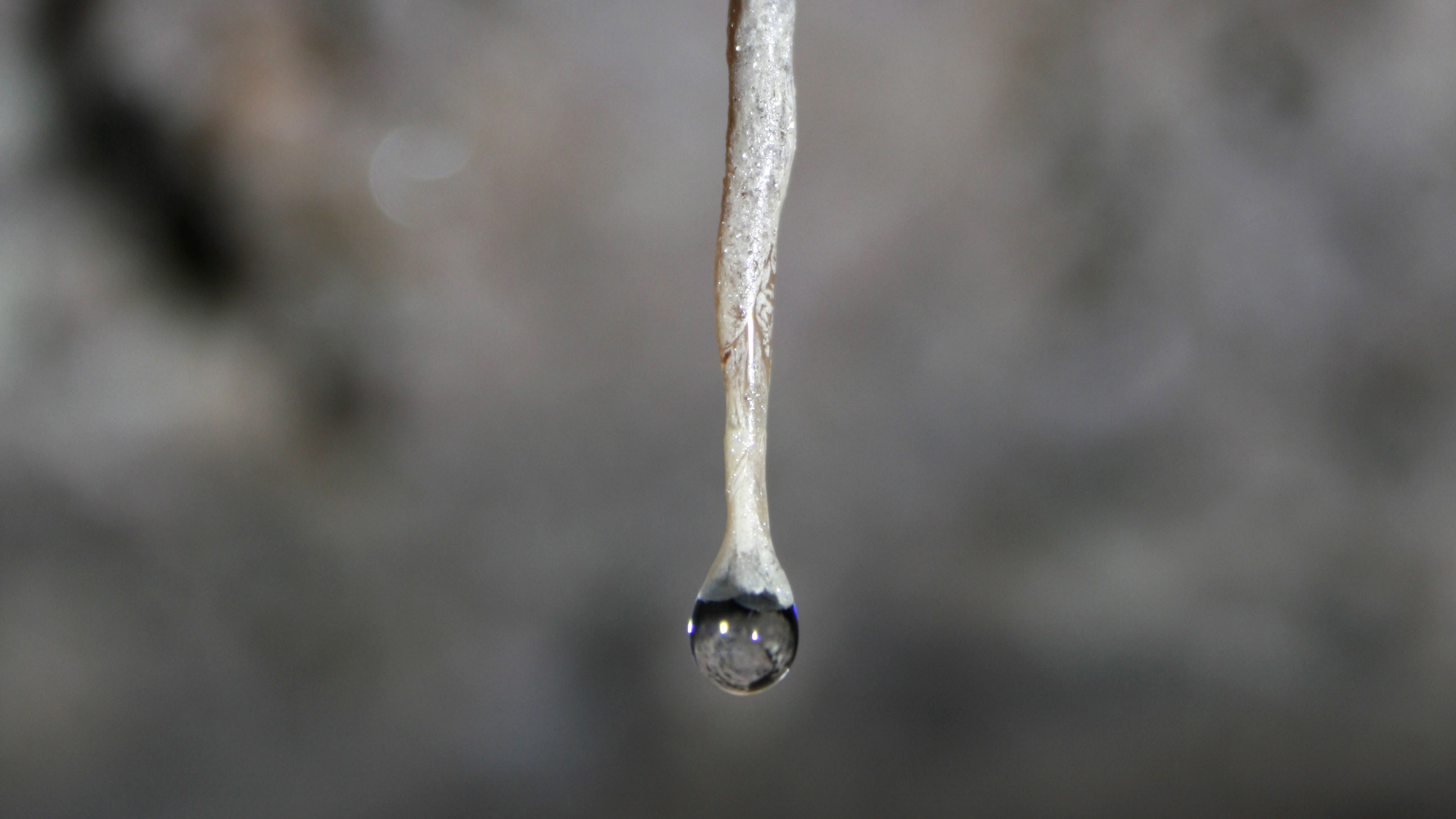 Sulphur Cave in Colorado Home To Blood-Red Worm Blobs : Short Wave : NPR