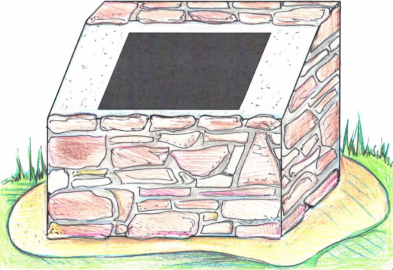 A study in North Carolina will track box turtles for 100 years : NPR