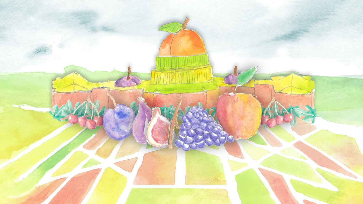 Foraging led me to so many free fruits and vegetables : NPR