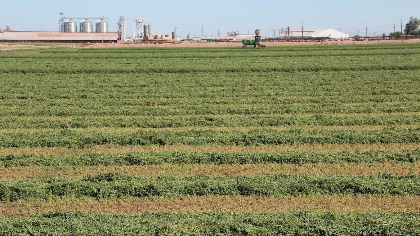 These farms use more Colorado River water than 2 states combined : NPR