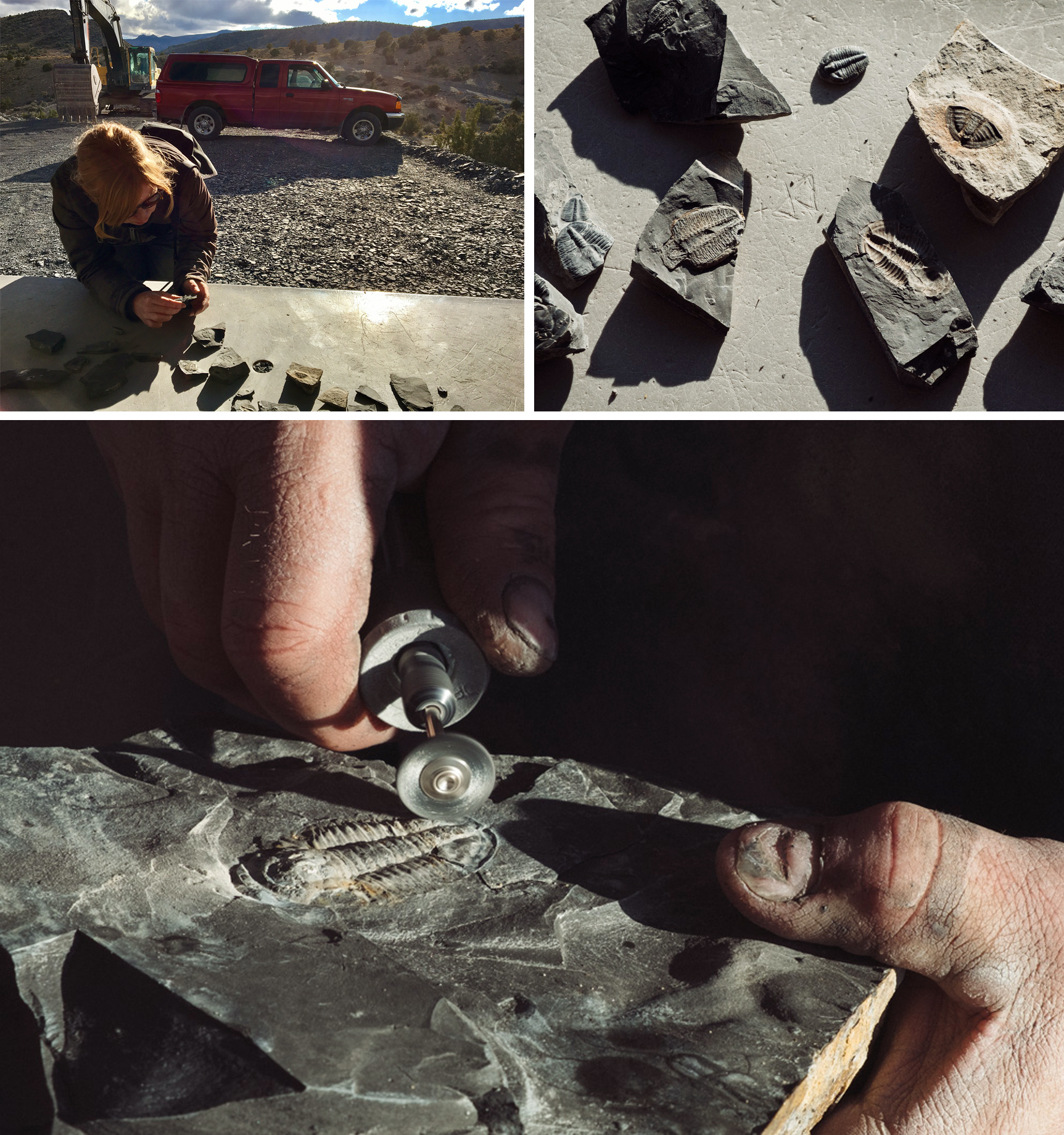 Bones, teeth and really old rocks: How finding fossils takes me out of ...