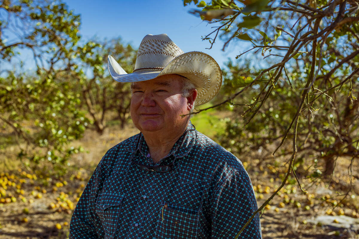 Hurricane Ian has hobbled Florida's agriculture industry : NPR