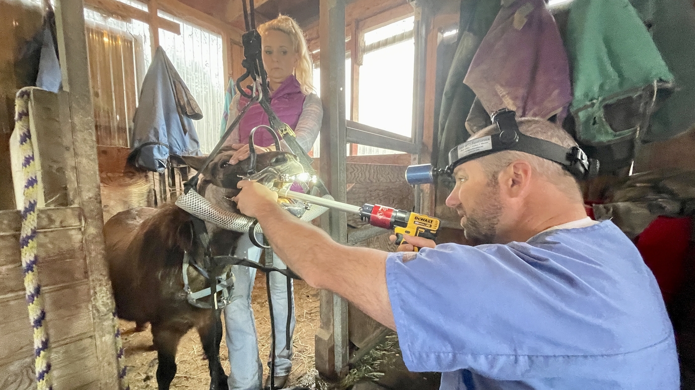 A nationwide vet care shortage is making the job more difficult in ...