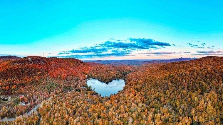 When Autumn Leaves Start To Fall : Short Wave : NPR