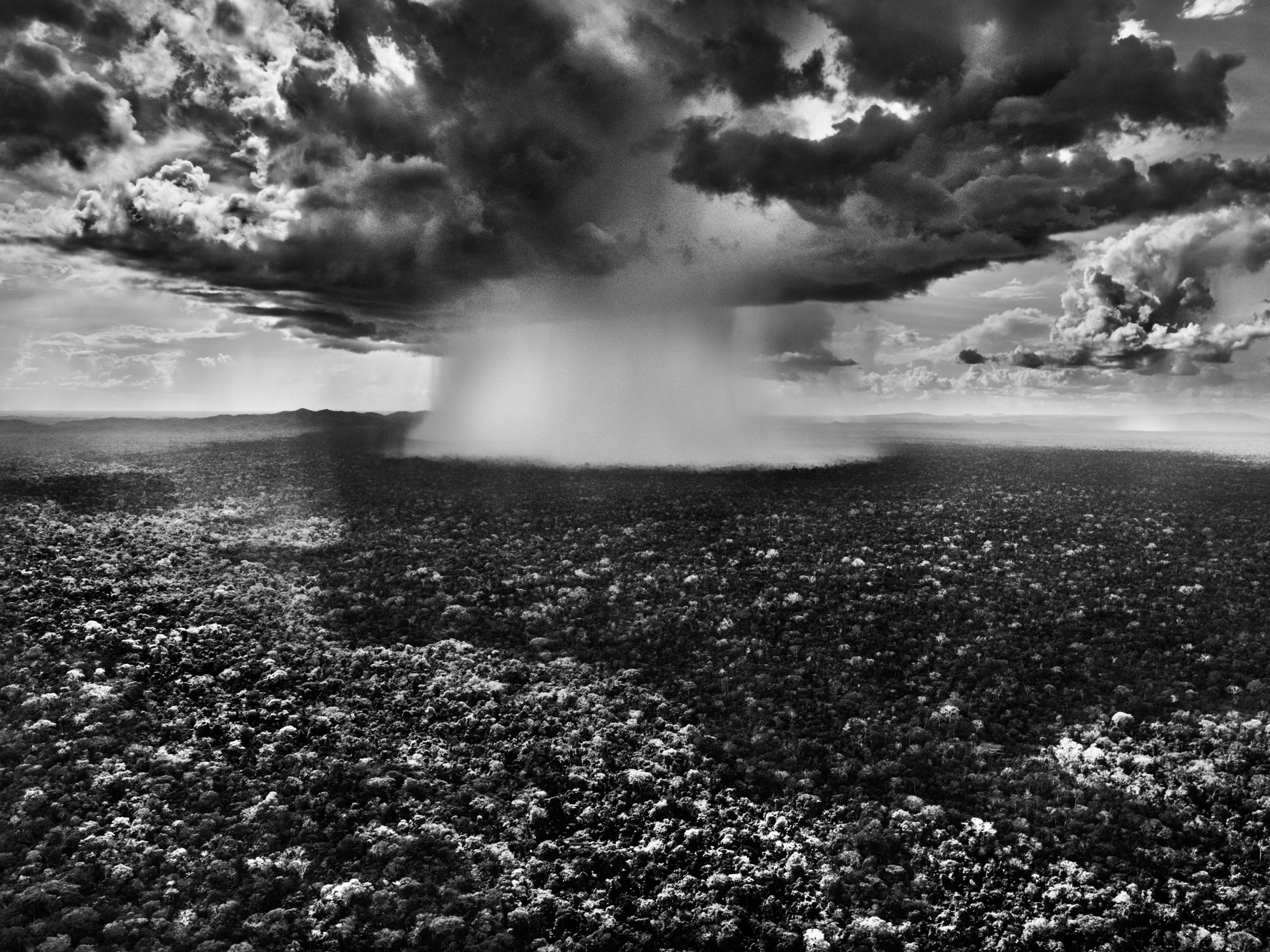 In the lush Amazon, a photographer hopes to document life before it is ...