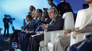 Michael Copley : NPR