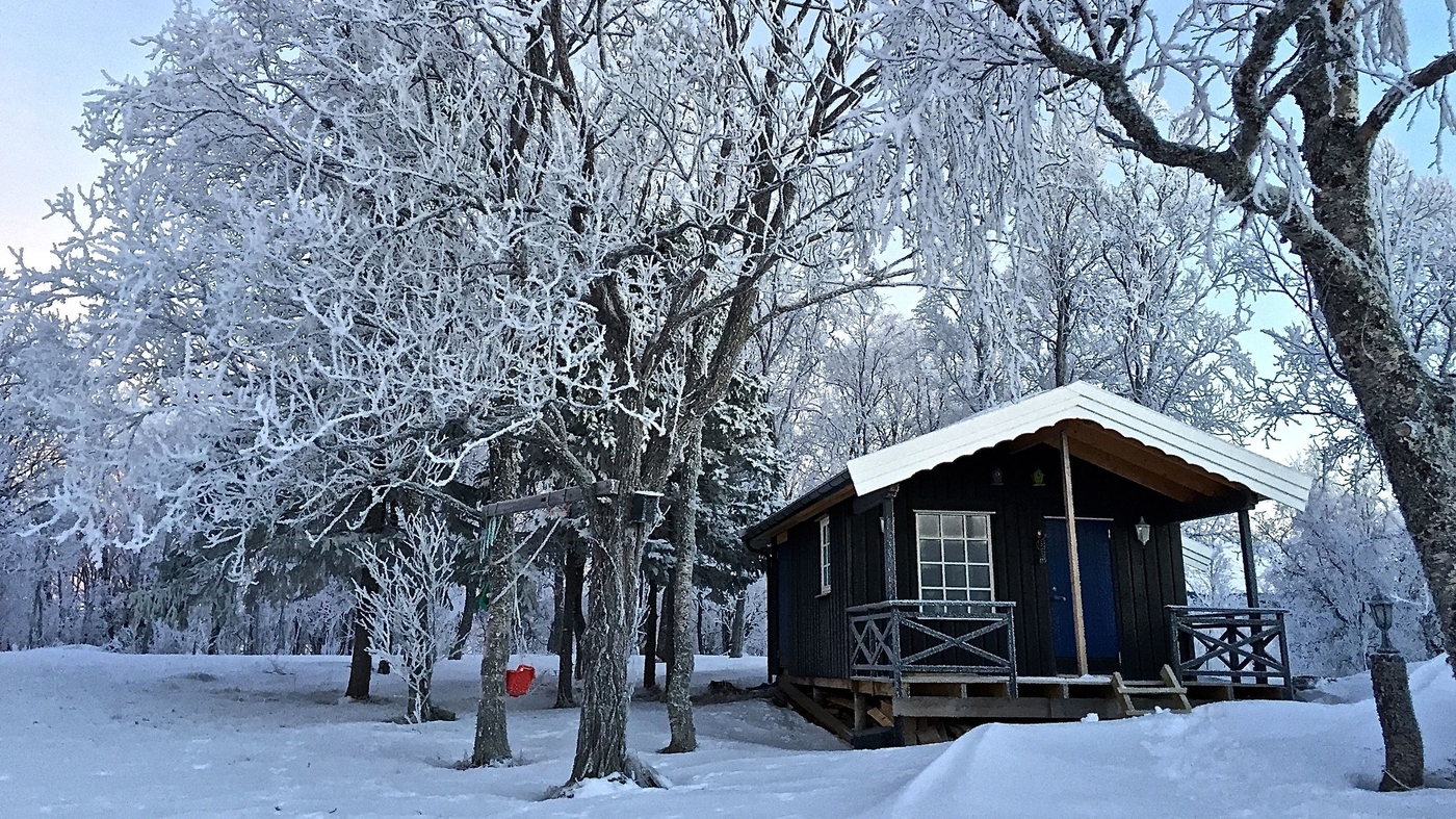 Tips for embracing winter darkness, from those who experience it for 2. ...