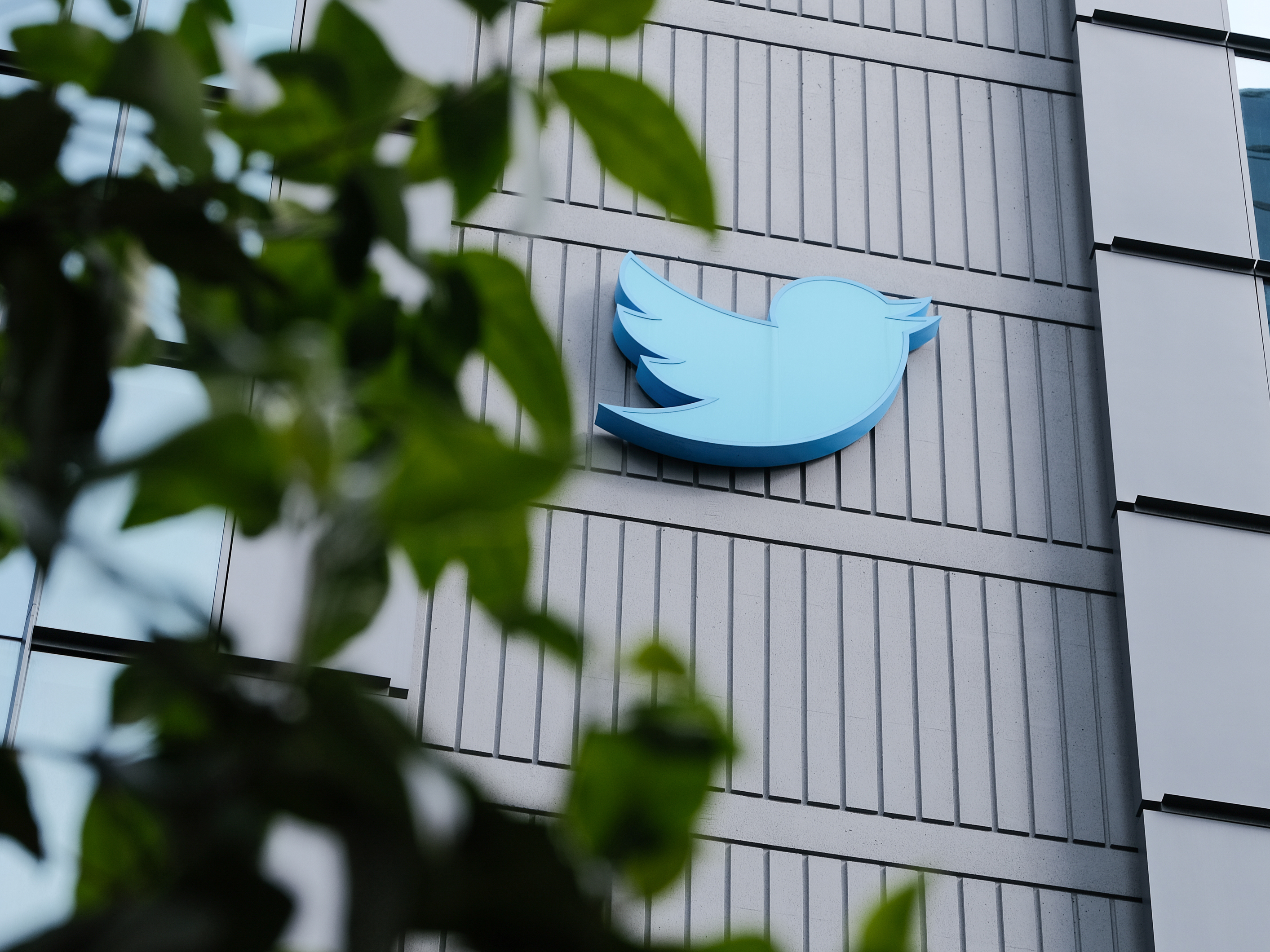 Twitter employees quit in droves after Elon Musk's ultimatum passes | NCPR News