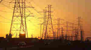 Michael Copley : NPR