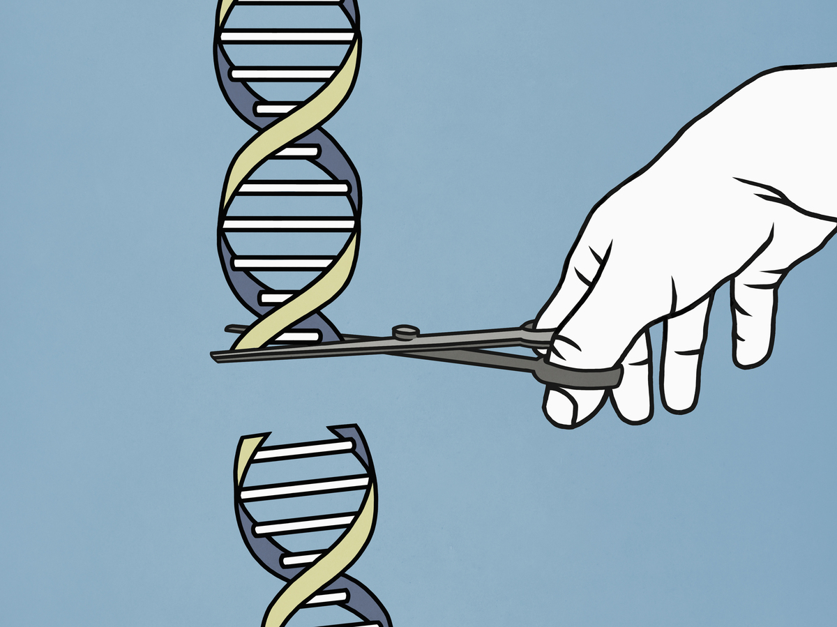 Lydia Villa-Komaroff's role in discovering Recombinant DNA To Make ...