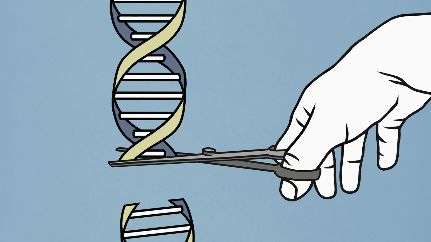 Lydia Villa-Komaroff's role in discovering Recombinant DNA To Make ...