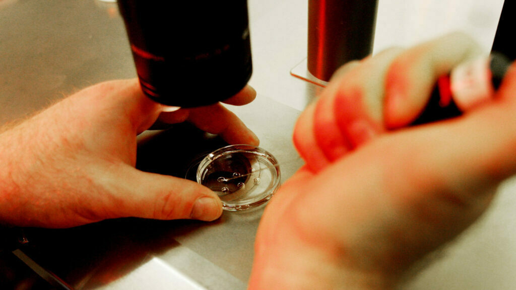 The Future Of Fertility Treatment : 1A : NPR